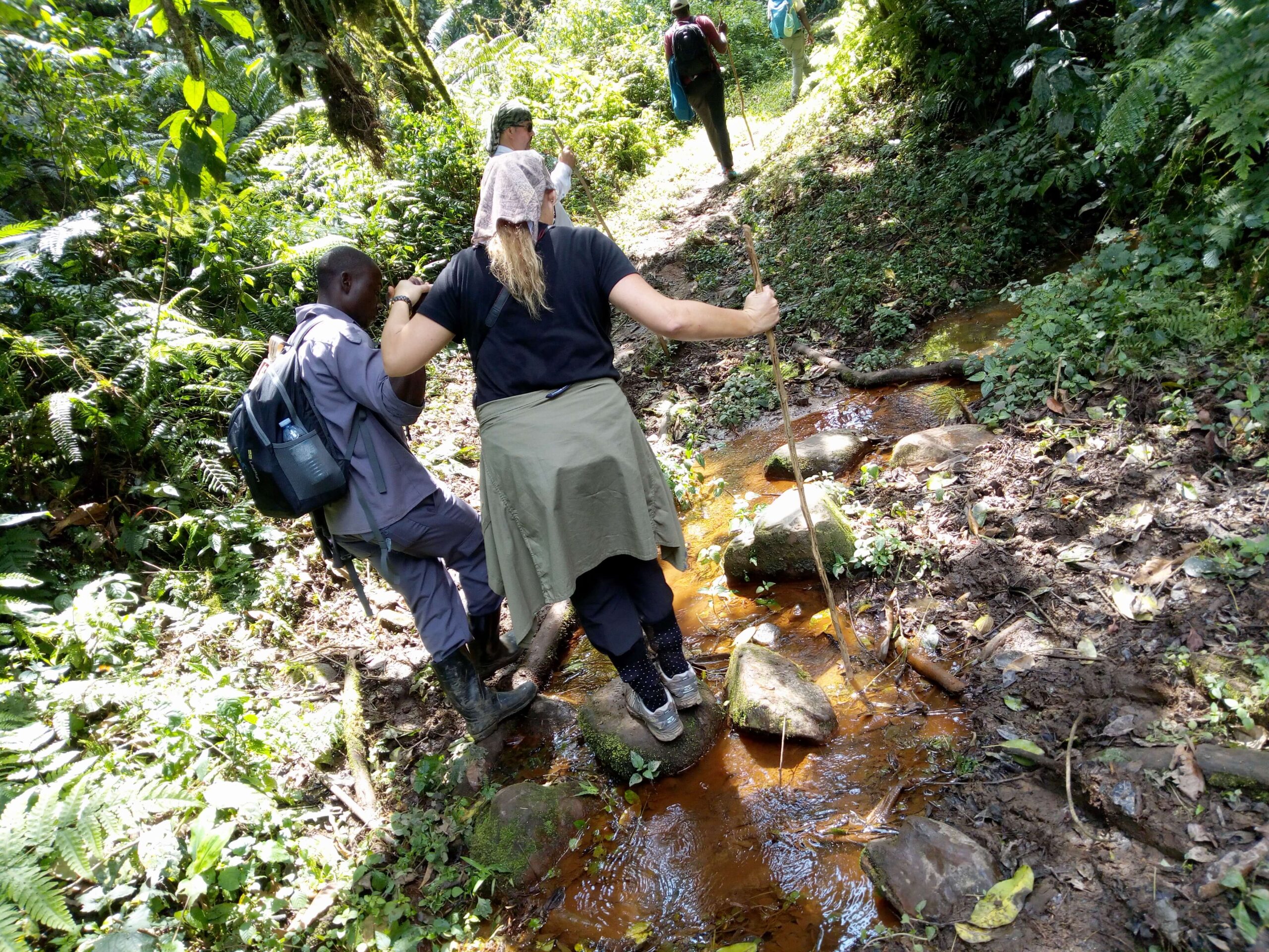 Guided Nature Walks in Bwindi Forest | Bwindi Forest Gorilla Tours